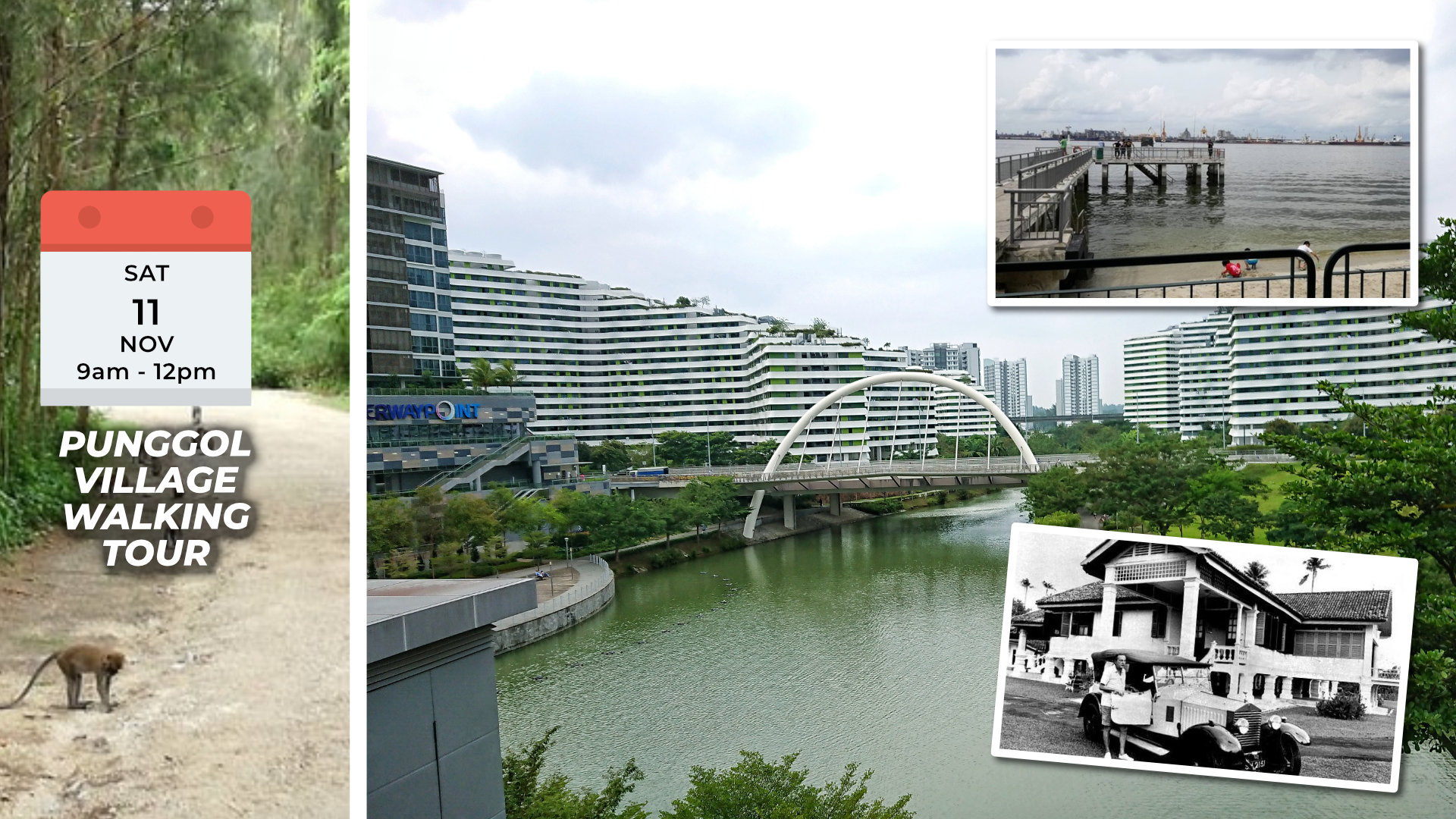 PUNGGOL VILLAGE WALKING TOUR - Uncle Chris