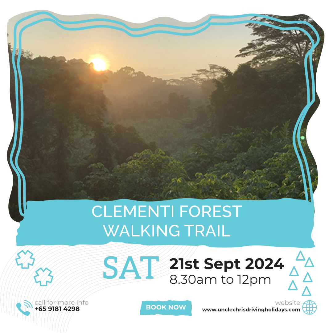 CLEMENTI FOREST WALKING TRAIL - Uncle Chris