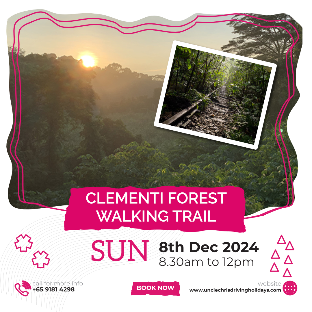 CLEMENTI FOREST WALKING TRAIL - Uncle Chris